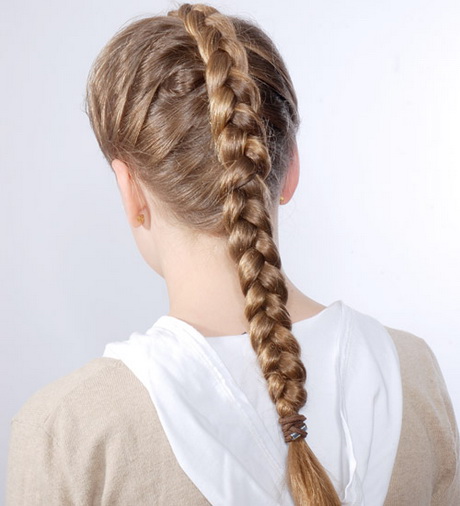 Haar zopf - Schönheit und Stil